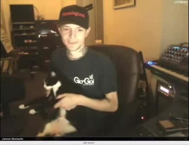 Deadmau5 & Professor Meowingtons - Coub