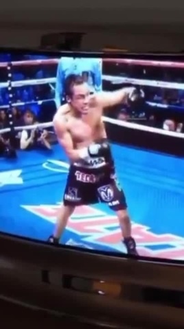 shadow hits back - Coub