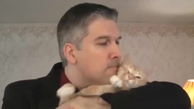 Guide to Cat Yodeling (with Cat Polka) - Coub