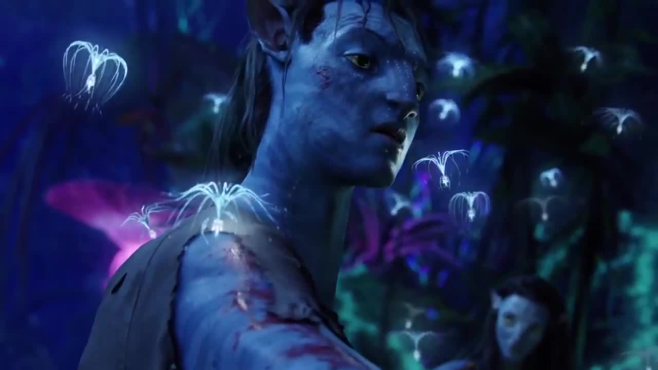 Brilliant Feeling - Coub - The Biggest Video Meme Platform