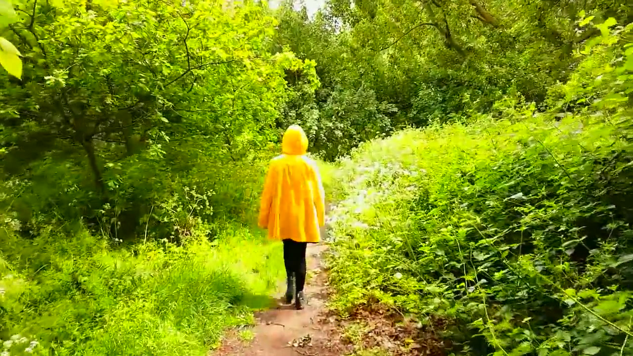 (Perfect Loop) Superorganism - Something for your M.I.N.D - Coub