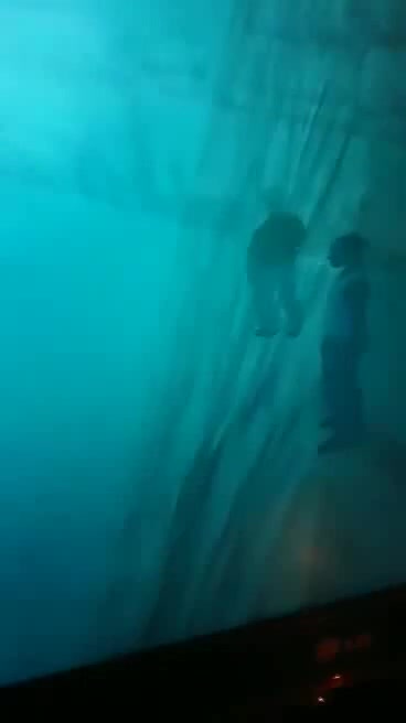 gta epic walk - Coub - The Biggest Video Meme Platform