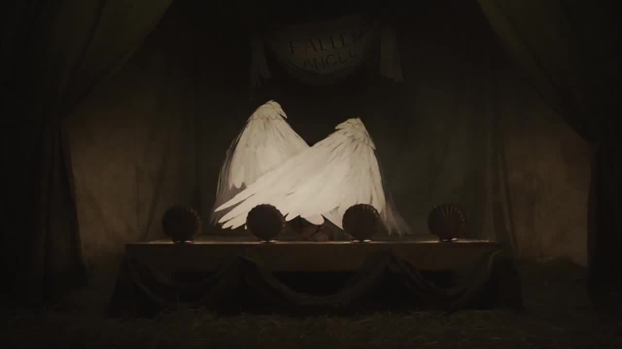 AHS: Freak Show — Fallen Angel - Coub
