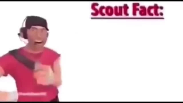 Scout Fact - Coub - The Biggest Video Meme Platform