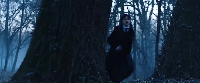 Geralt meets Wednesday - Coub