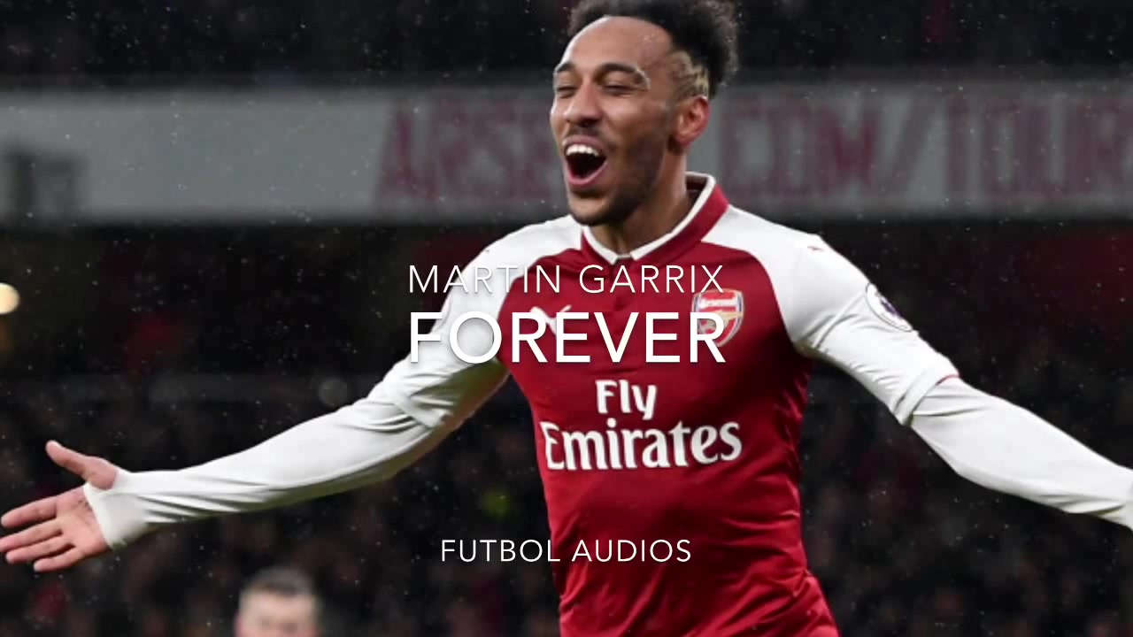 Martin Garrix - Forever - Coub