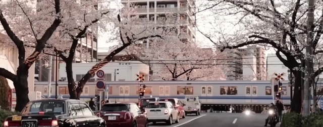 Spring morning in Tokyo - Coub