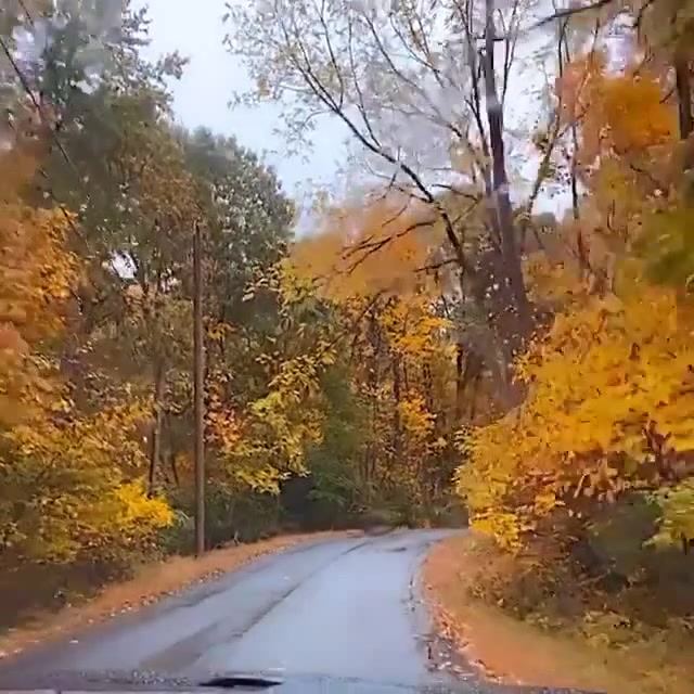 Осень🍁🍂Autumn - Coub