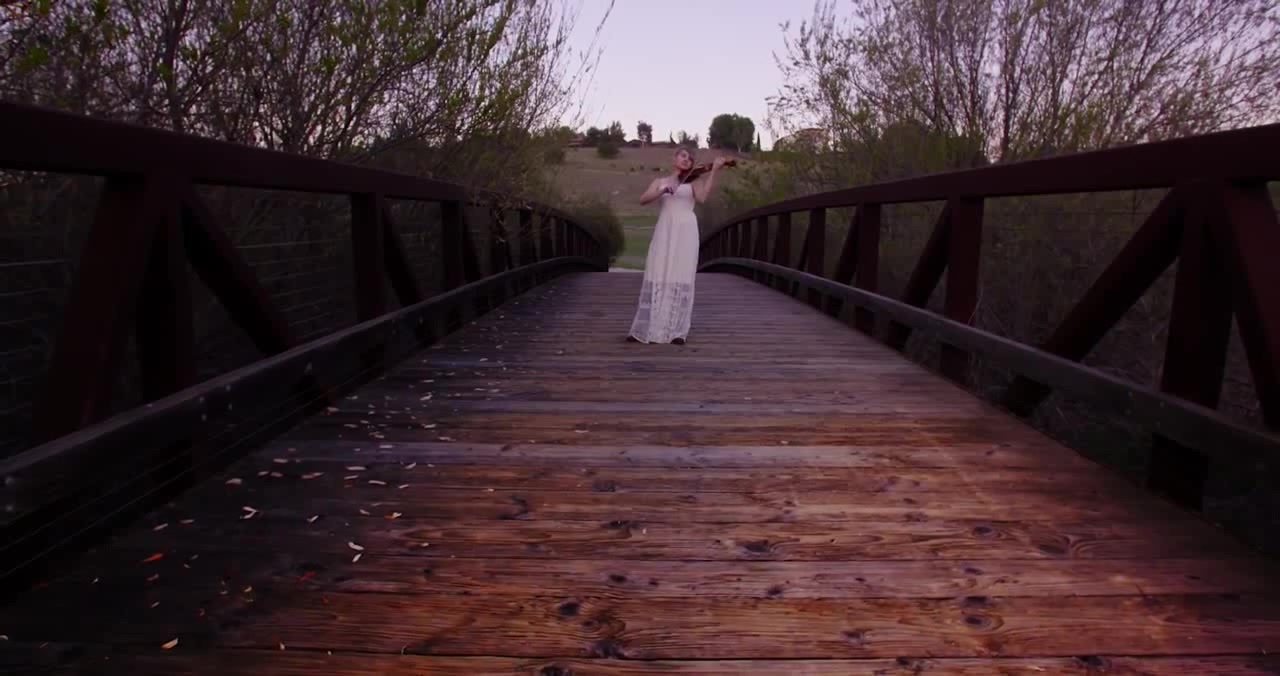 Skyrim - From Past to Present (Violin Cover) Taylor Davis - Coub