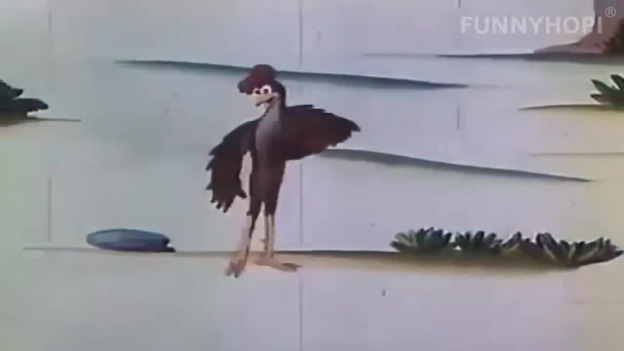 micle chicken - Coub