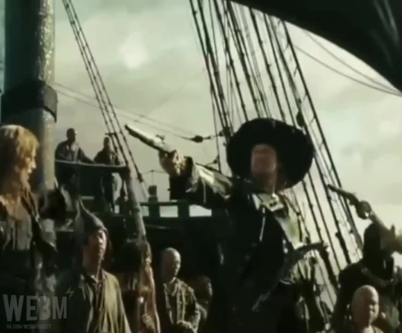 Pirate bird meme - Coub