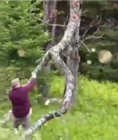 Mother Nature got that junk in the trunk! - Coub - The Biggest Video ...