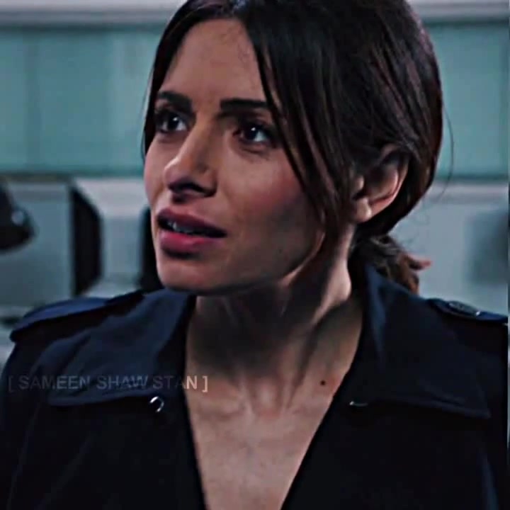 Die for something that you love - friendly reminder Sameen Shaw died ...