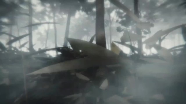 ℍ𝕦𝕟𝕥𝕖𝕣 - Coub