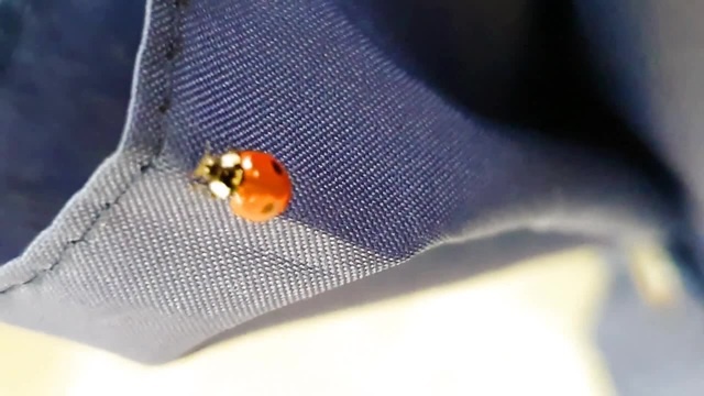 #artem.live_mirror little escape - Coub