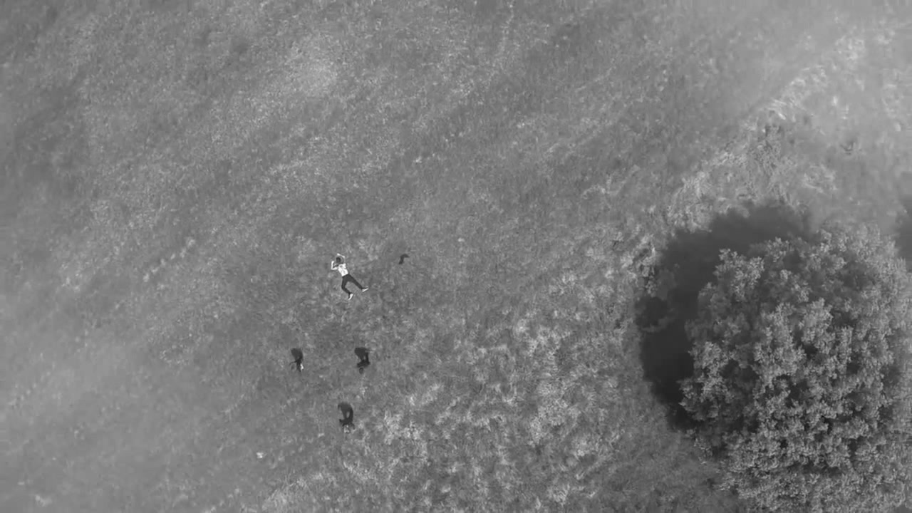 Code Orange "I Am King" - Coub