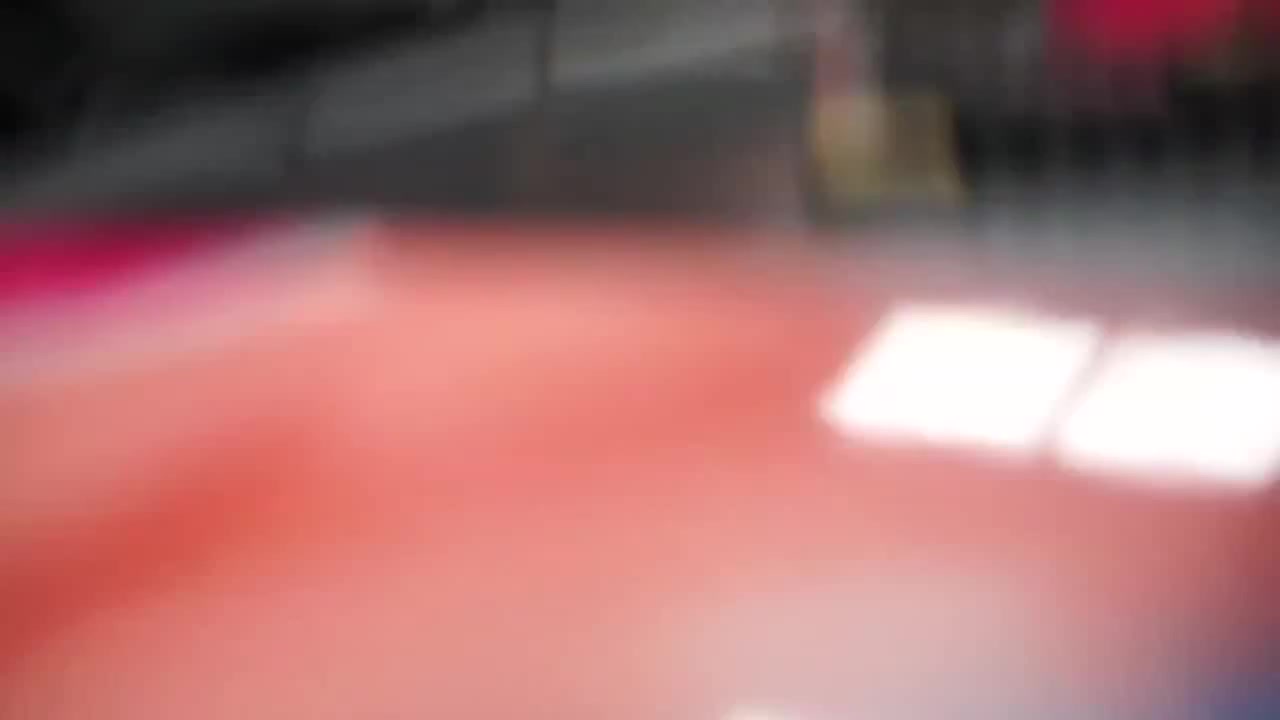 StamperTV - Garbage the Fox - Coub - The Biggest Video Meme Platform