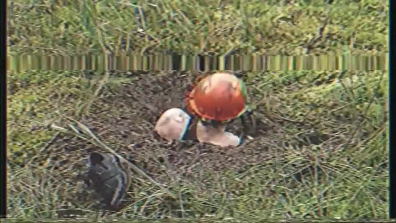 грибник 80 lvl - Coub