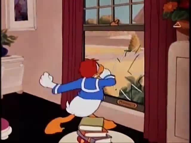 The Only Thing They Fear Is Donald Duck - Coub