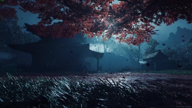 𝔏𝔢𝔞𝔣 𝔉𝔞𝔩𝔩 - Coub