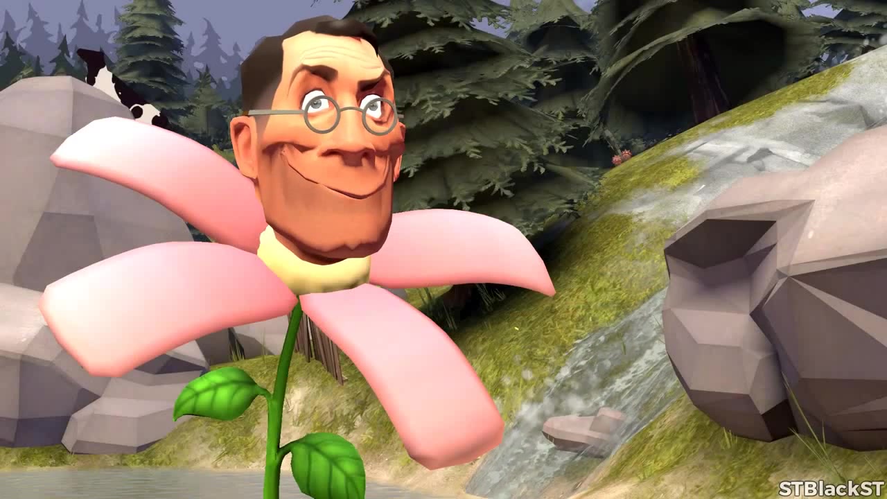 (STBlackST) Fine spring in an insane asylum! (TF2) - Coub