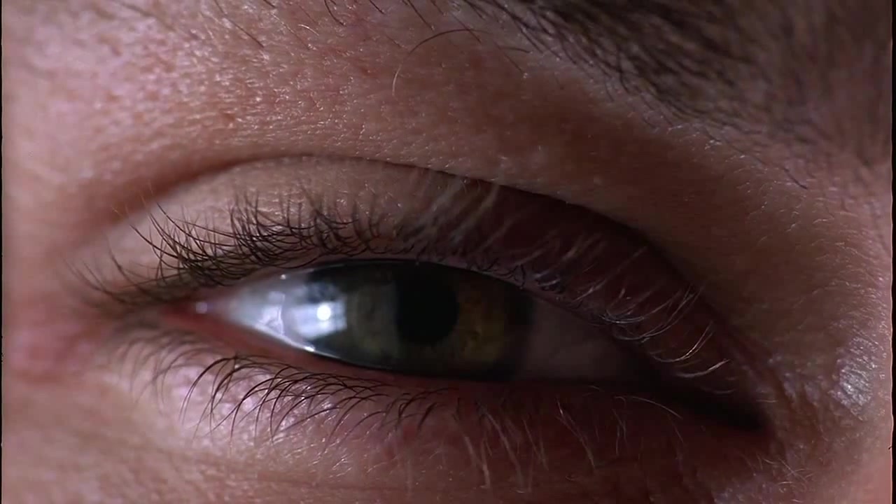 The Sopranos - The End - Coub