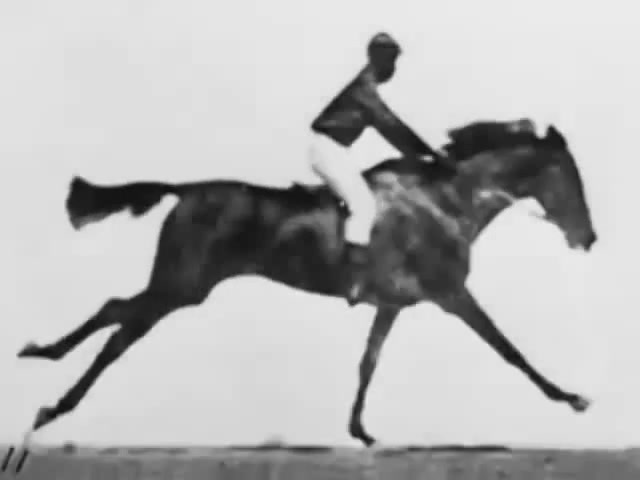 get on my horse! - Coub