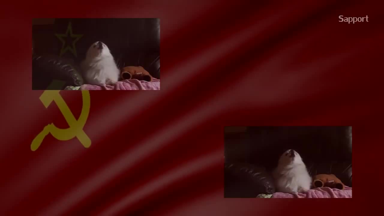 Gabe the Dog - Soviet Barks (C&C: Red Alert) - Coub