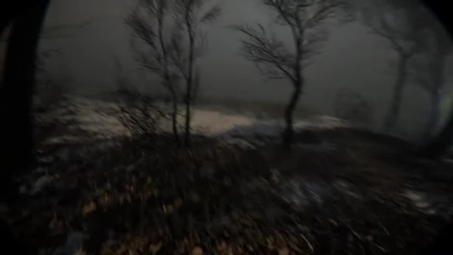 New Bodycam Horror Game Has You Running From a Giant Snake – Digested ...