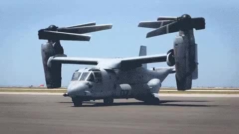 Osprey transform - Coub - The Biggest Video Meme Platform