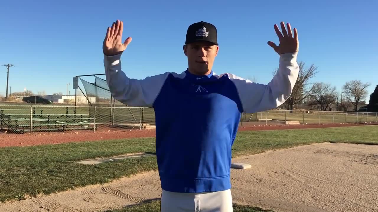 I am a baseball bird! - Coub - The Biggest Video Meme Platform