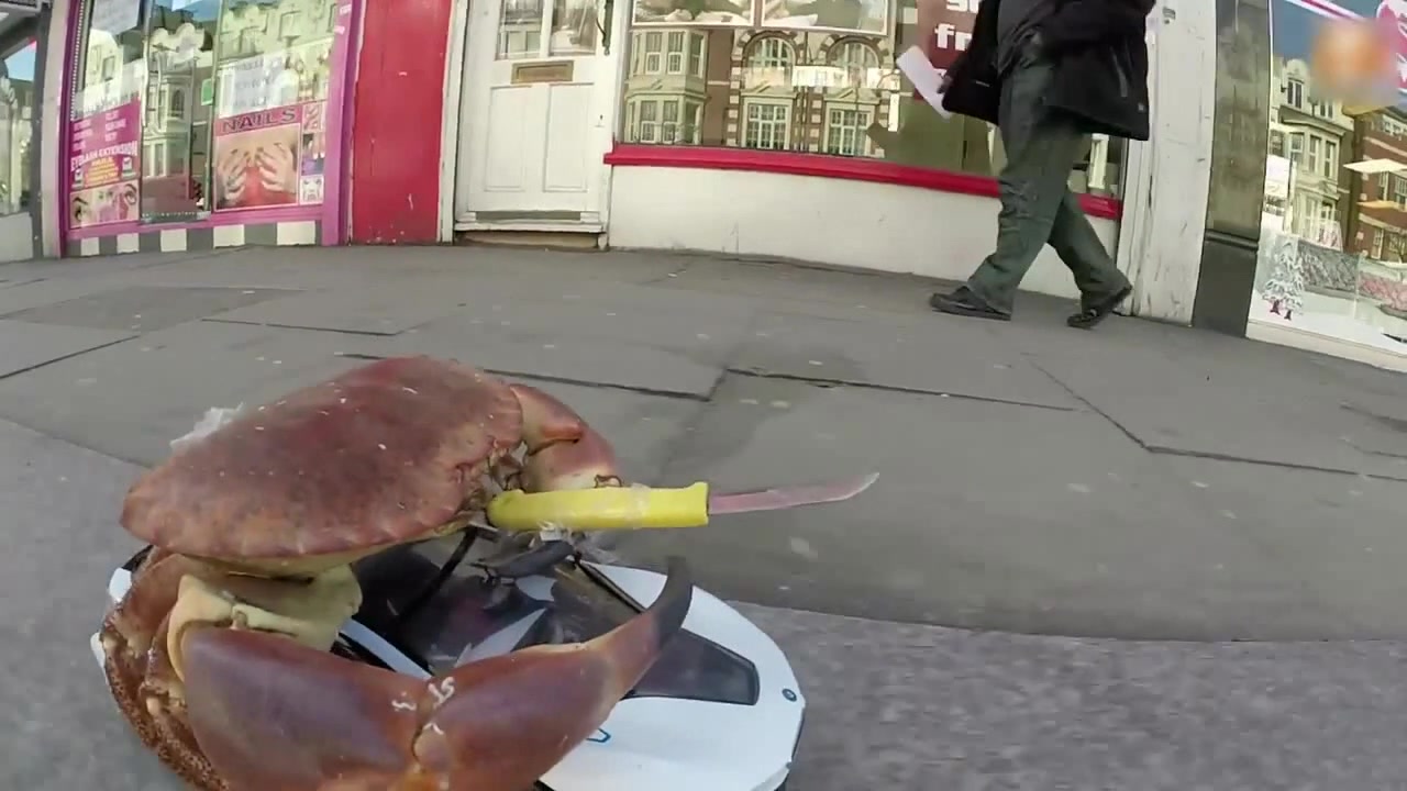 Cybercrab - Coub - The Biggest Video Meme Platform