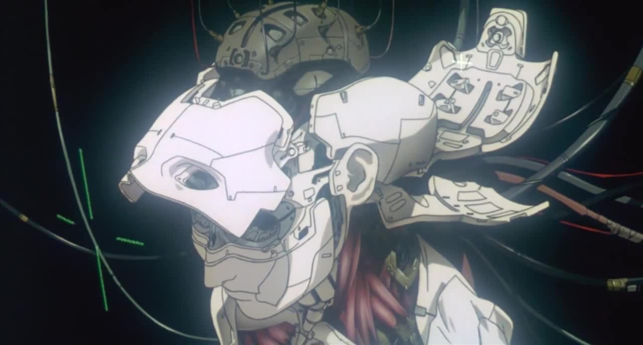 Ghost in the Shell. Part of Shelling process - Coub