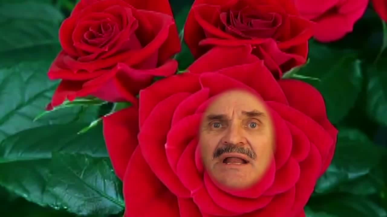 Ha én Rozsa volnék, Aktuàlis uj szöveggel. Adi Pop. - Coub