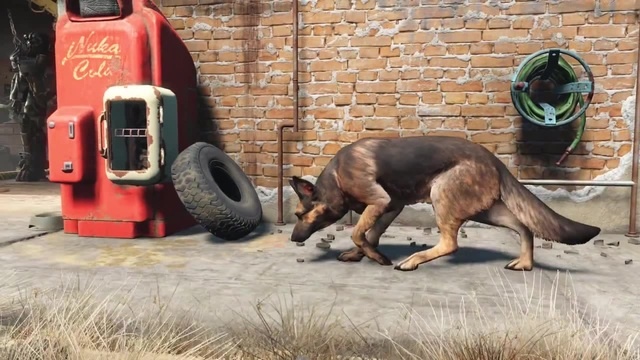 Fallout 4 - Coub