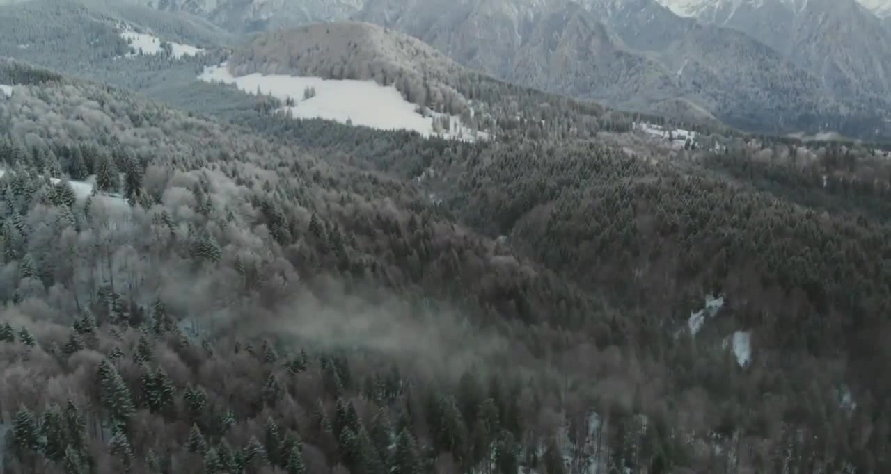 Neverland - Coub - The Biggest Video Meme Platform