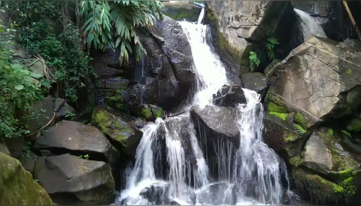 Find and download stunning Africa Images and videos Free from the ...