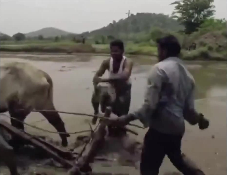 Do you love me - Coub