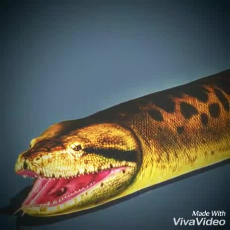 Snake me up inside - Coub