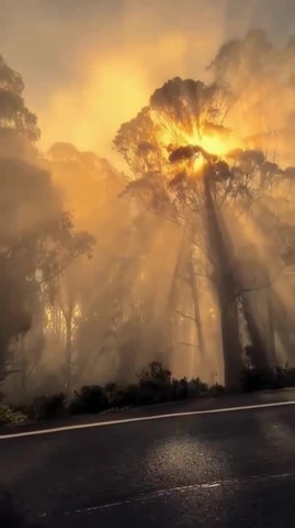 Take the Sun - Coub - The Biggest Video Meme Platform