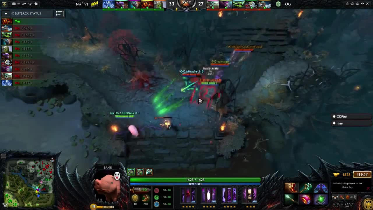 Na`Vi.DityaRa EPIC Performance vs. OG Game 3 - Coub