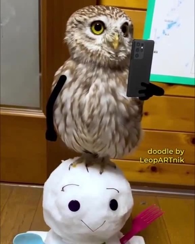 Hello Zepp... - Coub