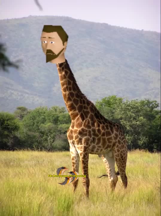 Old School Africa (part 2) - Coub - The Biggest Video Meme Platform