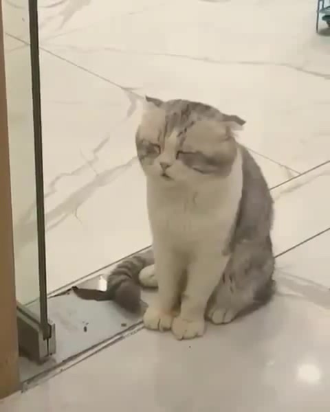 Ahhh...Monday. - Coub - The Biggest Video Meme Platform