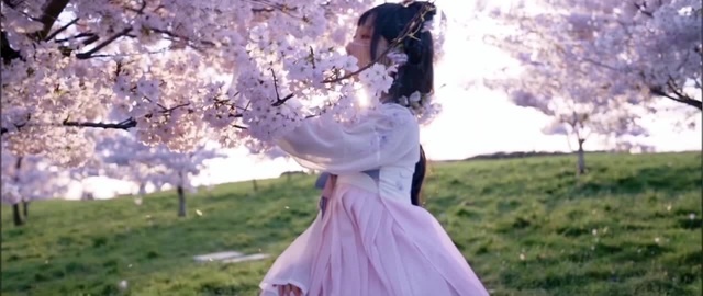 Sakura & Hanfu - Coub