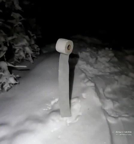 Well, it's a very cold place - Coub - The Biggest Video Meme Platform