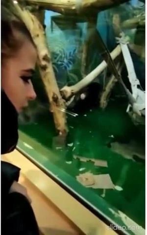 ЭТЮД № 103 - Coub