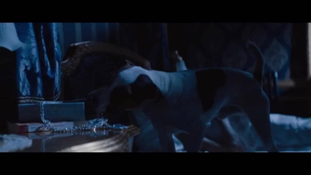 Who let the dogs out - Coub