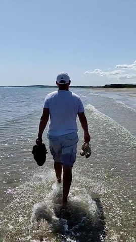 Sweet Harmony - Coub