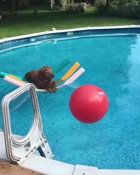 Regular normal floating boi - Coub